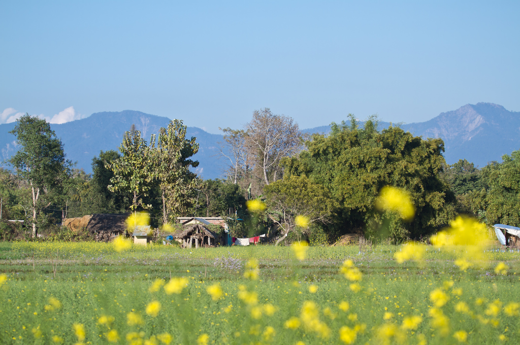 Nepal at a Glance - Blue Bird Overseas - Leading Manpower Company in Nepal