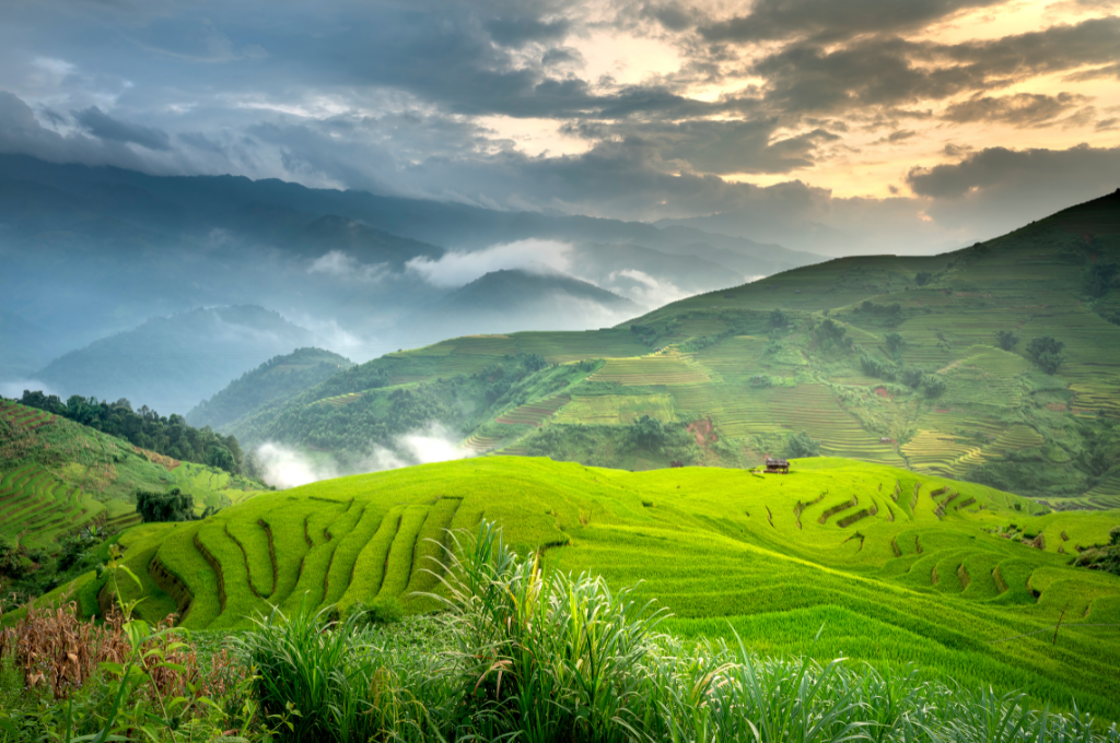 Nepal at a Glance - Blue Bird Overseas - Leading Manpower Company in Nepal