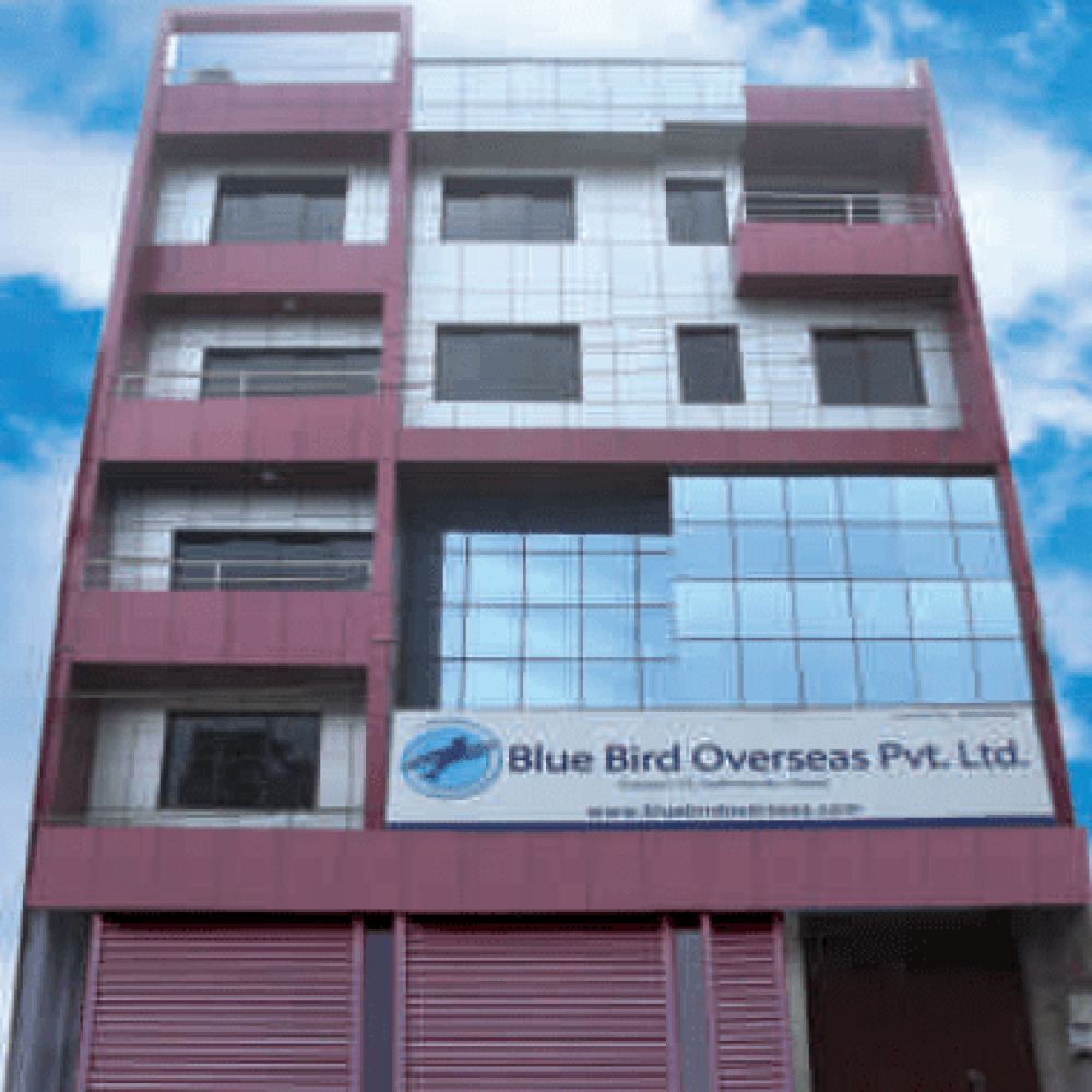 About - Blue Bird Overseas - Leading Manpower Company in Nepal